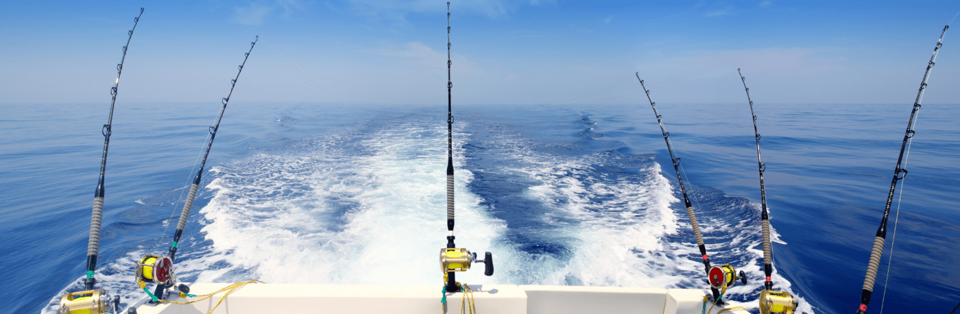 Guide to Fish Species in Cancun | What You Can Catch Year-Round"